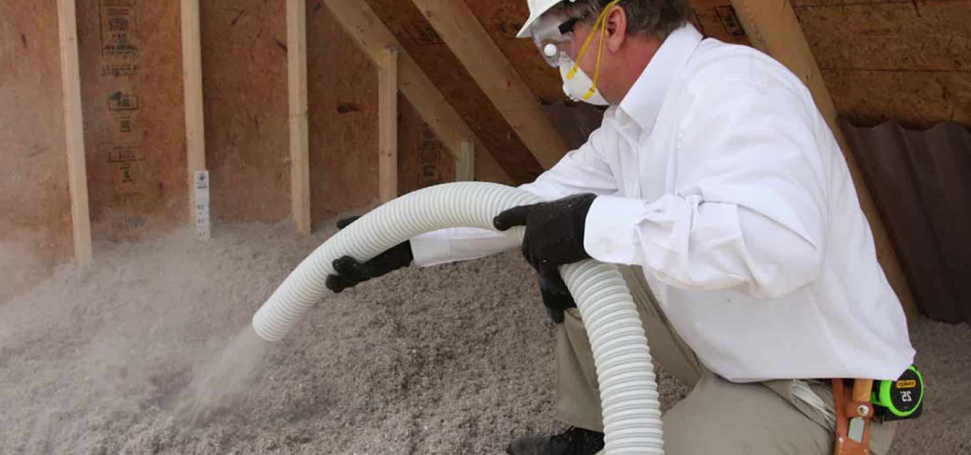 Comprehensive Guide to Pest Control Insulation for Your Home